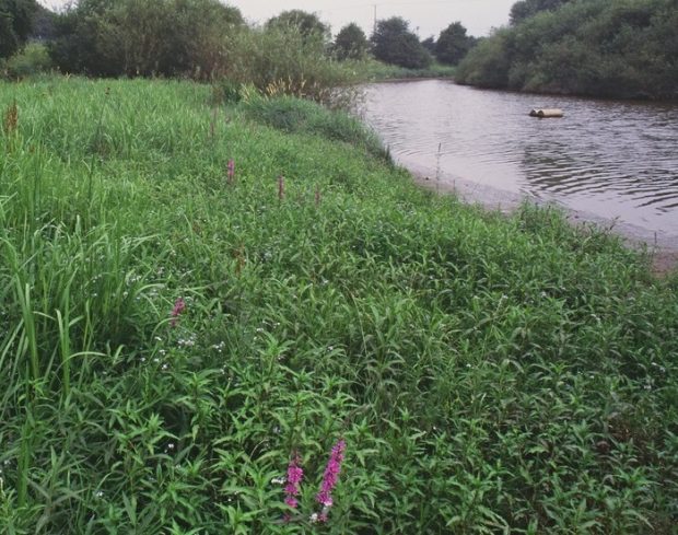 Unlocking the River Severn – a major new project to benefit people and ...