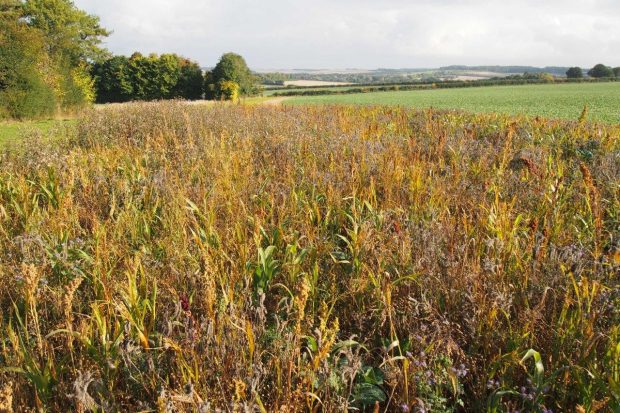 Farmer Clusters – working together to achieve more – Natural England