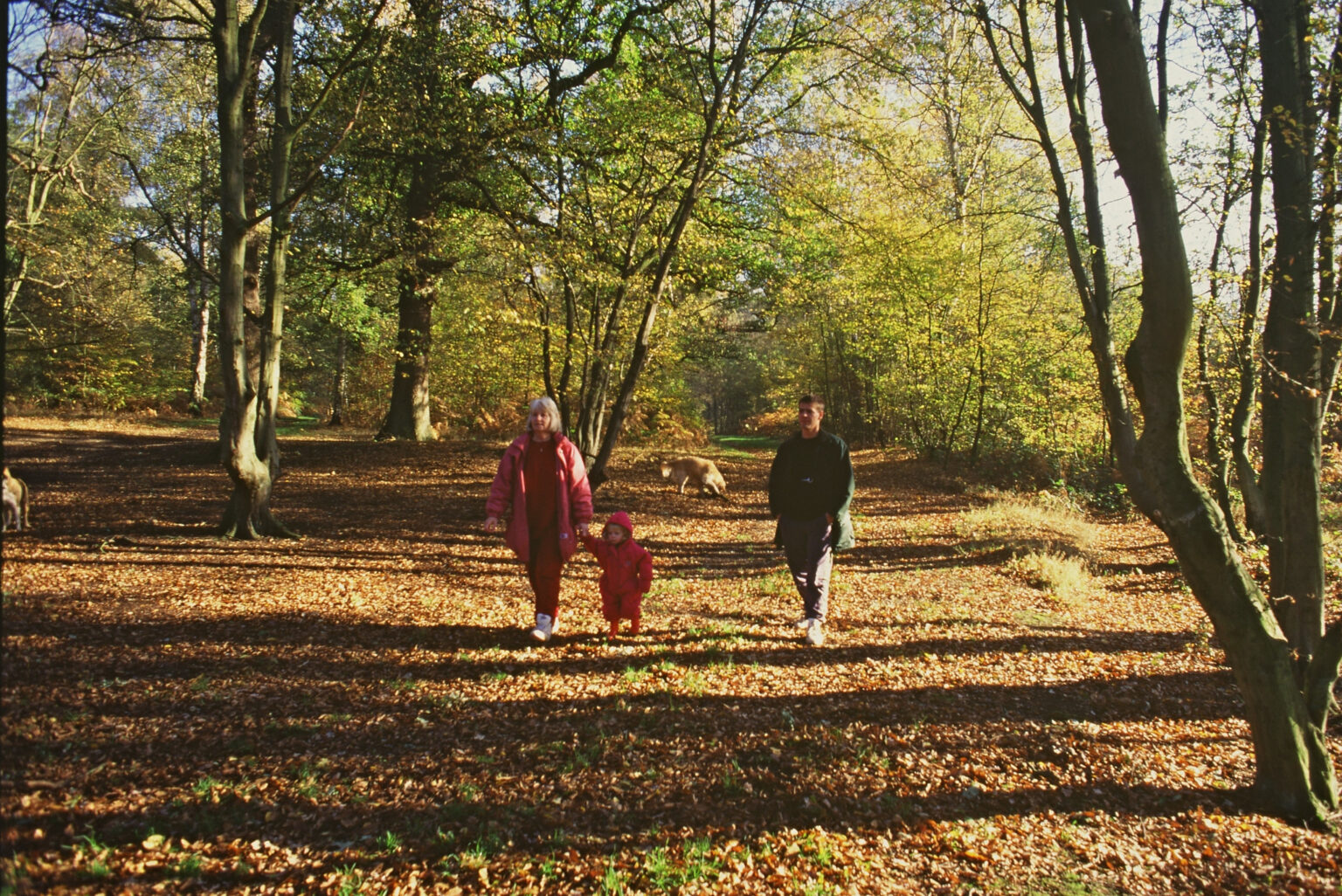 2019 – Natural England