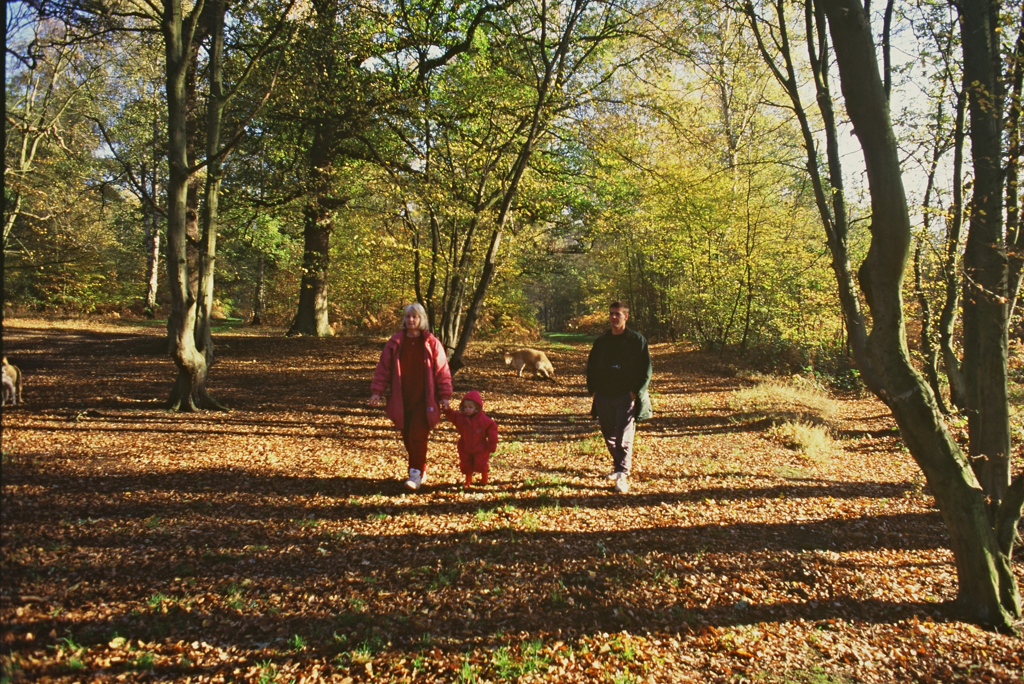 Thriving nature for people and planet – Natural England