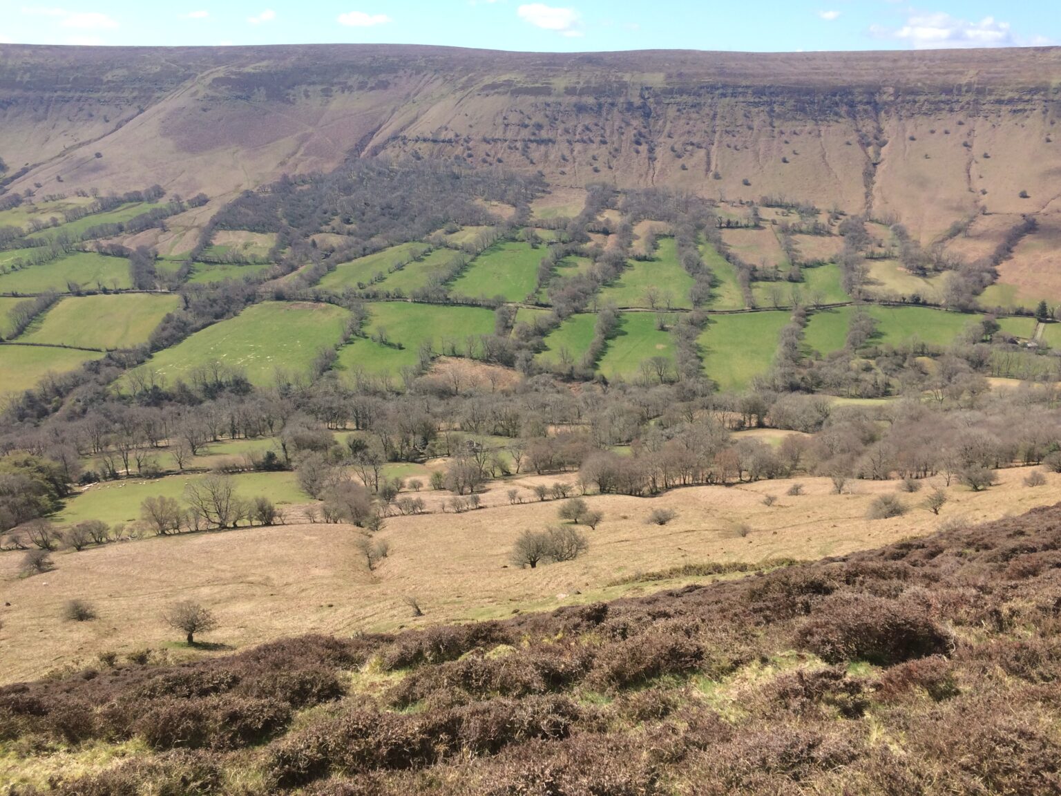 Mike Morecroft – Natural England