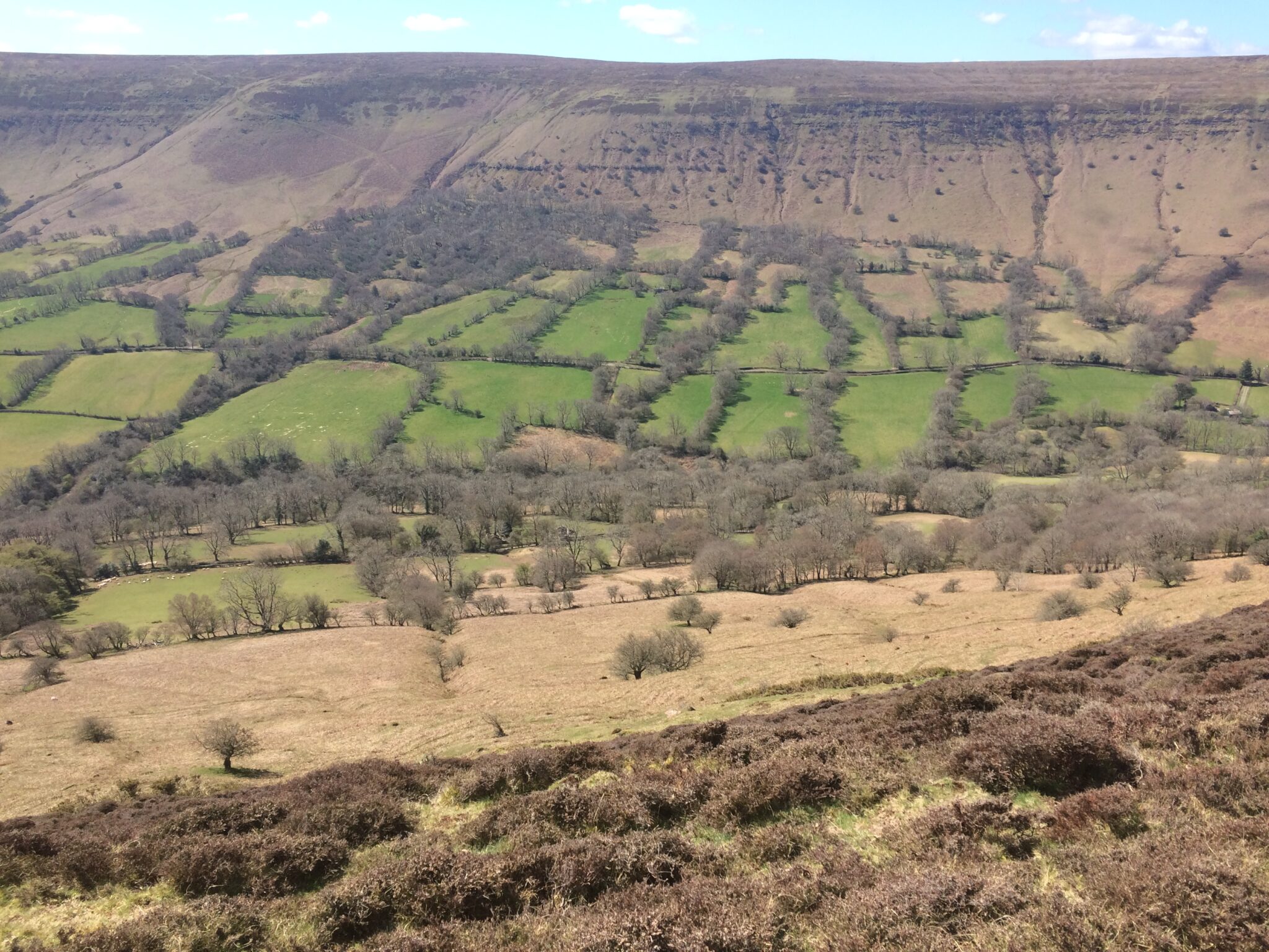 Biodiversity - Natural England