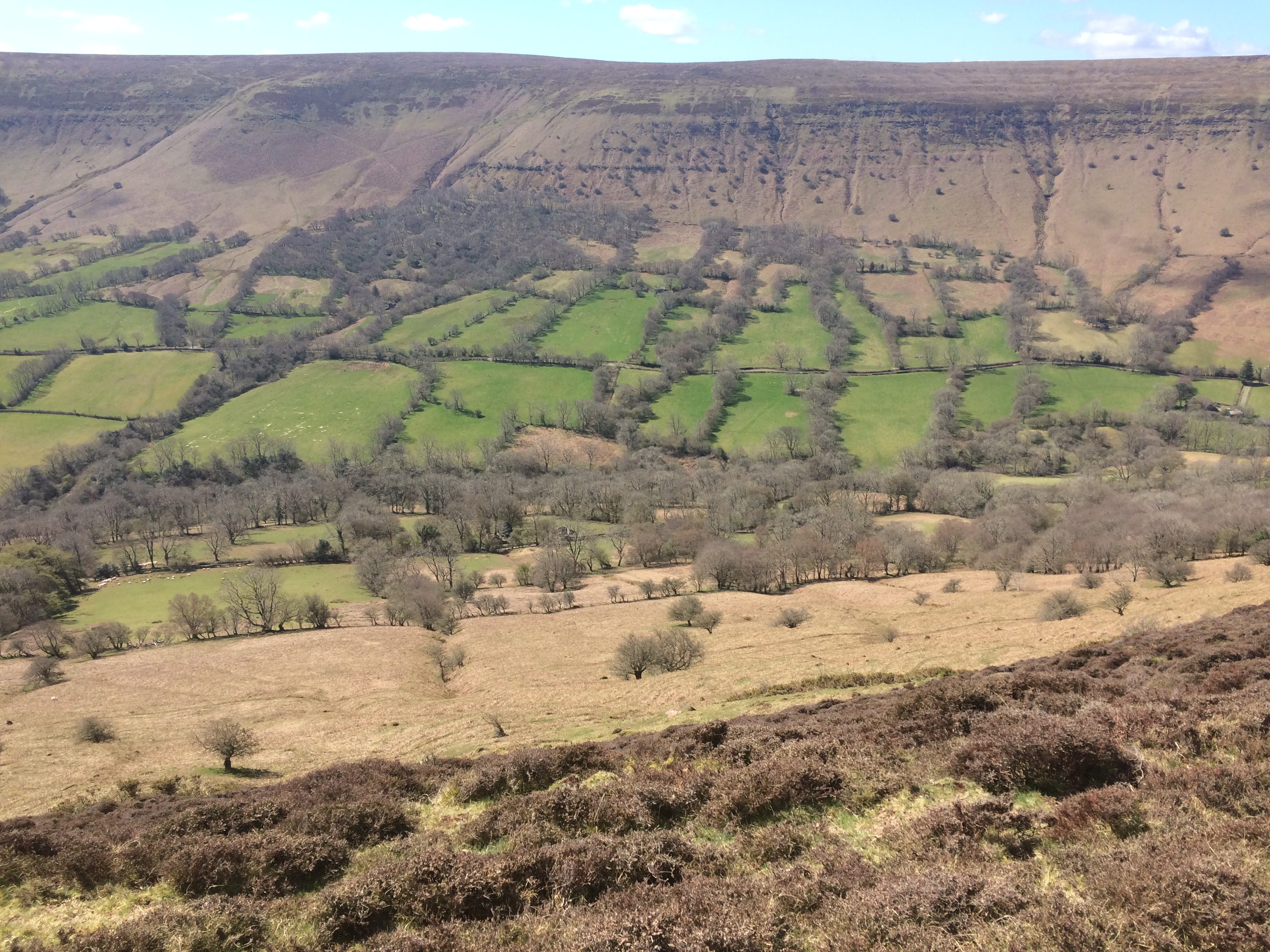 Nature-based Solutions for Climate Change at the Landscape Scale: a new ...