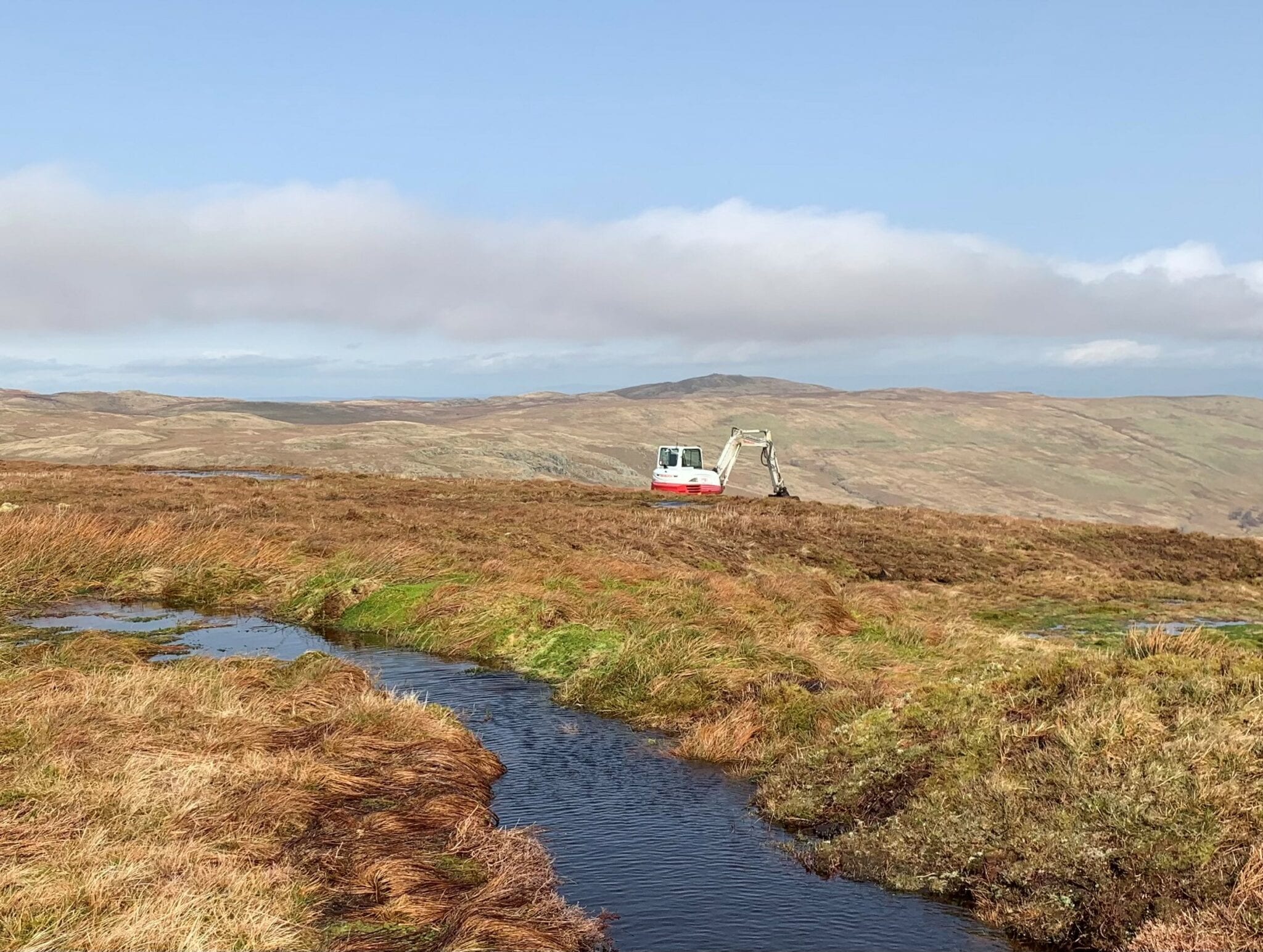 Peatland Discovery Grant launched to support the next waves of peatland ...