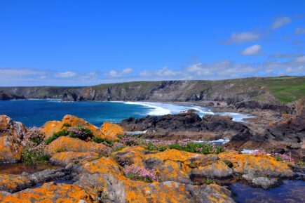 Shaping the future of Nature Recovery: Developing Local Nature Recovery ...