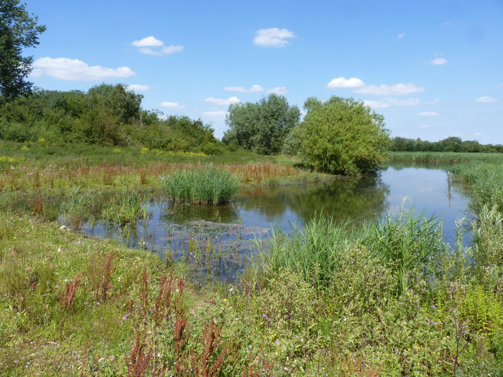 The Story of the Cotswold Water Park SSSI – Natural England