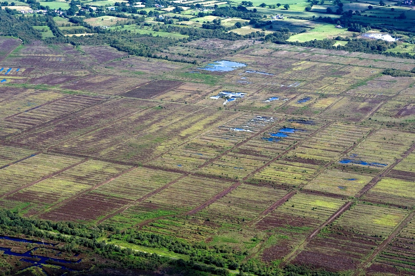 Rewilding the Marches Mosses – Britain’s third largest raised bog ...