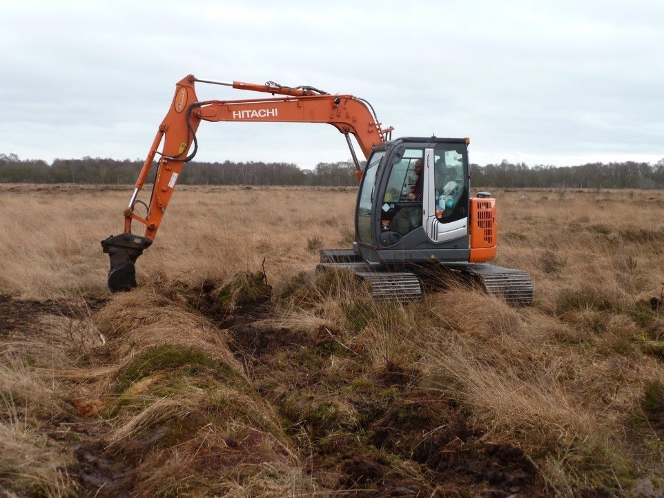 Rewilding the Marches Mosses – Britain’s third largest raised bog ...