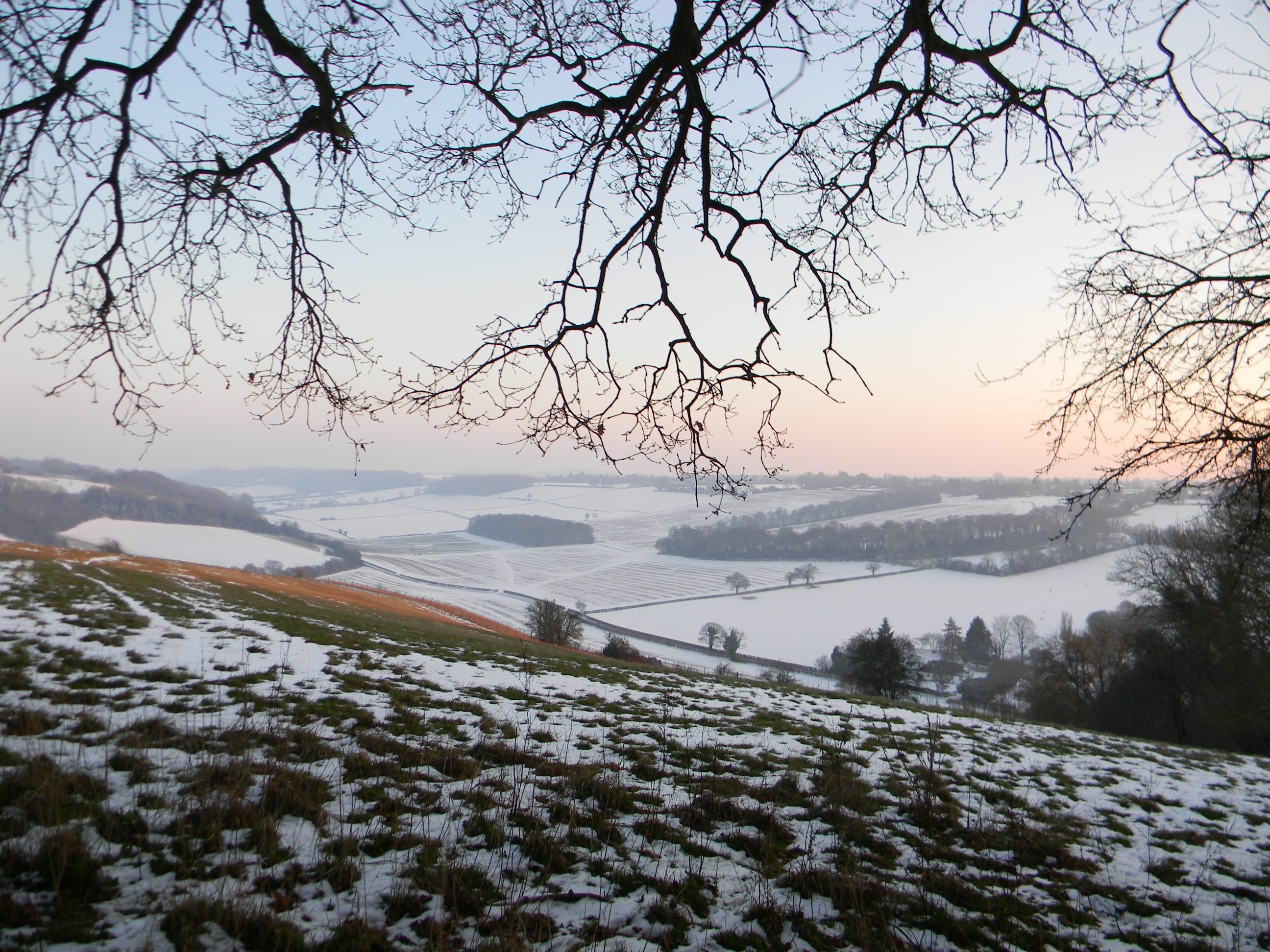 Have your say in shaping biodiversity net gain – Natural England