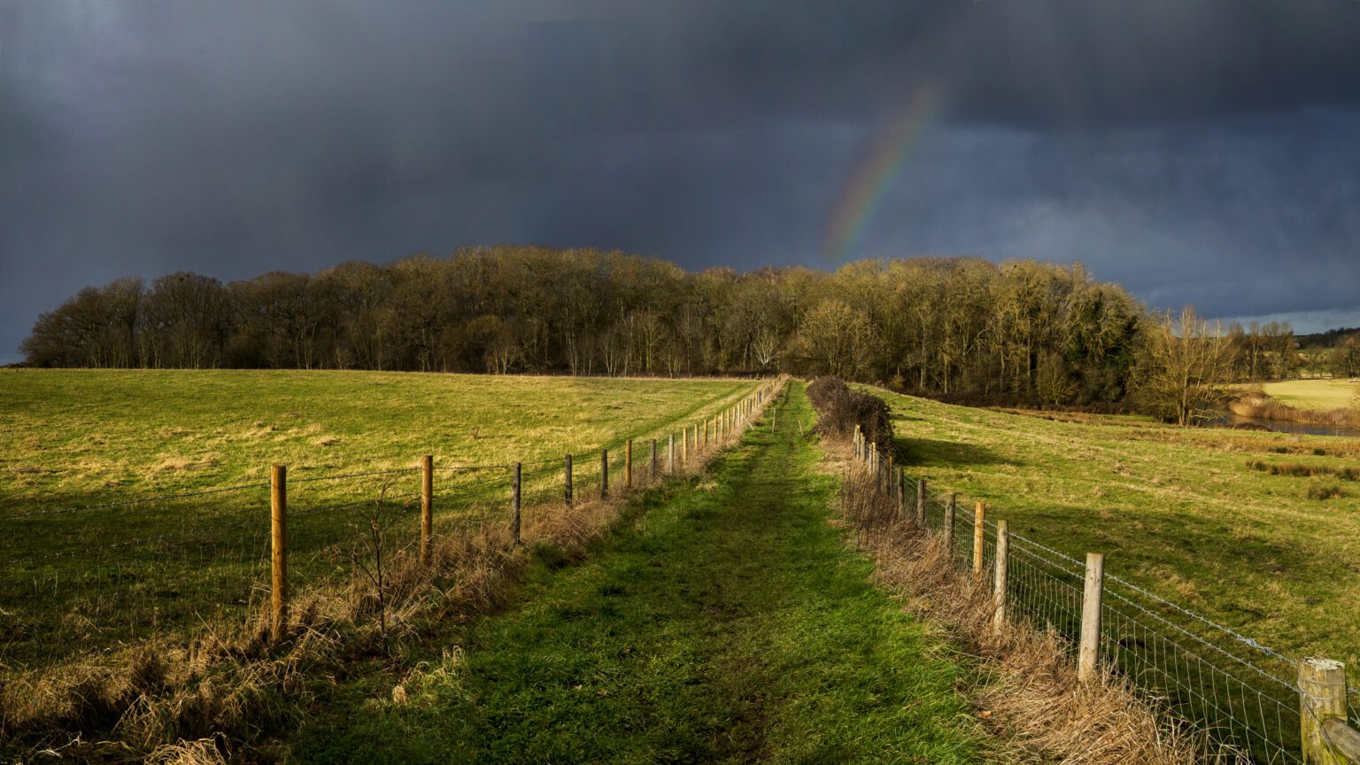 Natural England’s Climate Change Adaptation Plan – Natural England