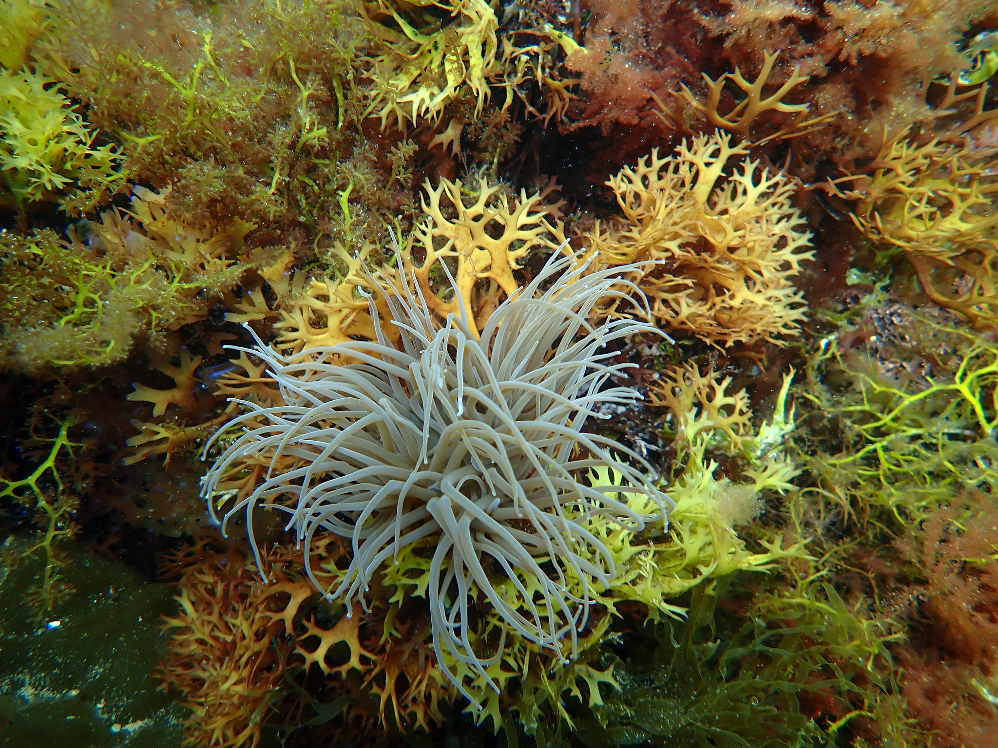 Tony Juniper: Green Paper – an opportunity for an integrated approach ...