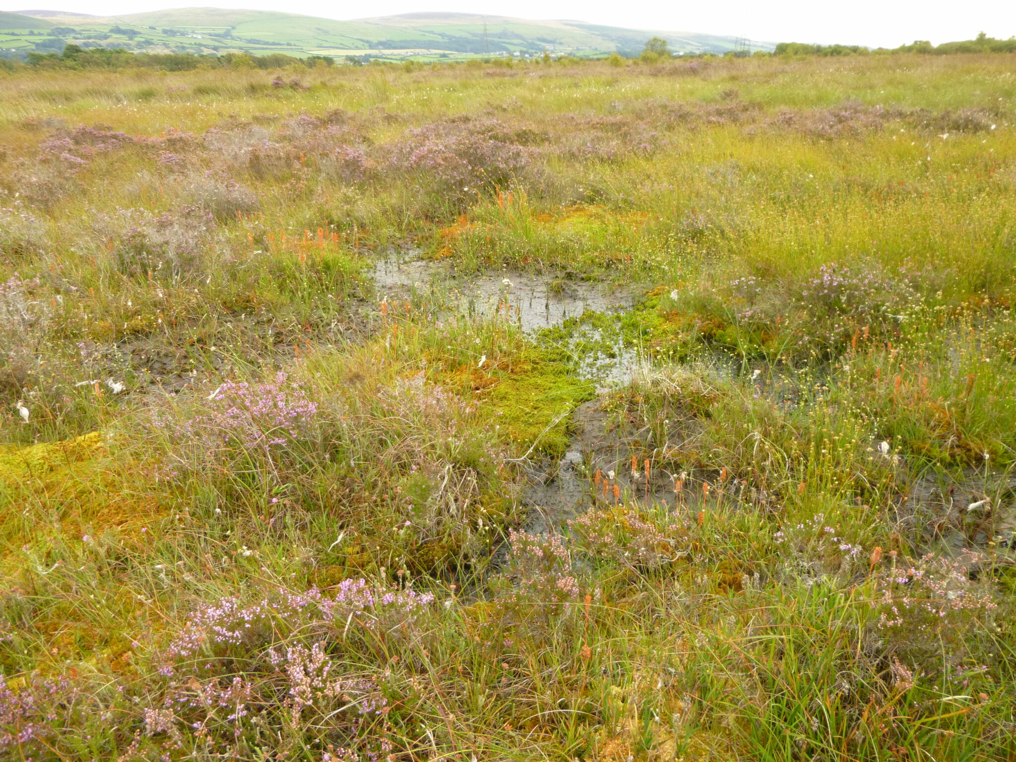 Protected Site Strategies – Natural England
