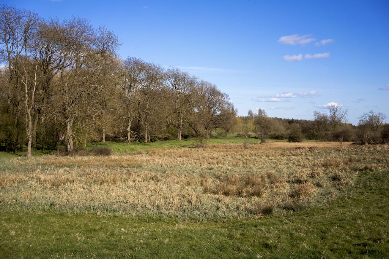 New Grant Scheme Opens: Nature-based Solutions for Climate Change at ...