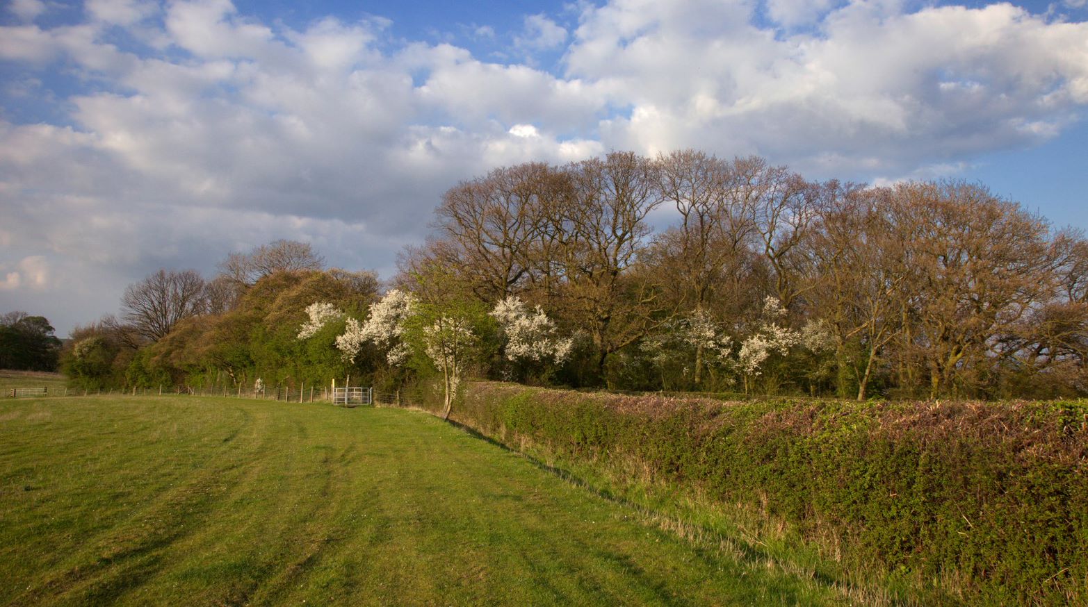 New Grant Scheme Opens: Nature-based Solutions for Climate Change at ...