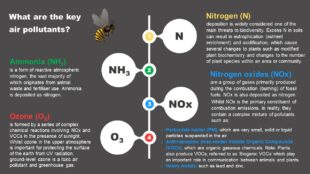 Bees’ Needs: Why Air Pollution matters to Pollinators – Natural England