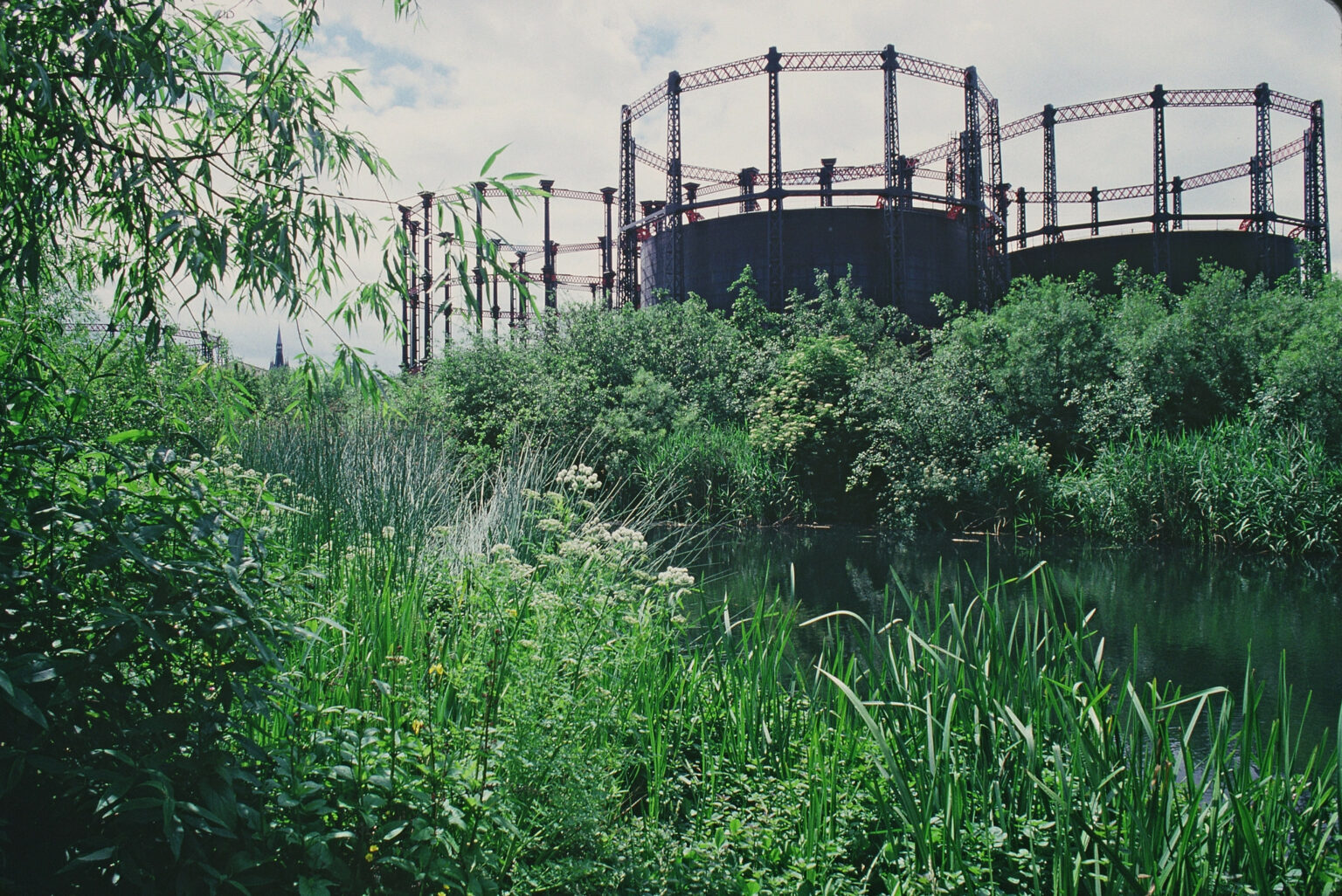 Biodiversity Metric Milestone – Defra consultation on the biodiversity ...