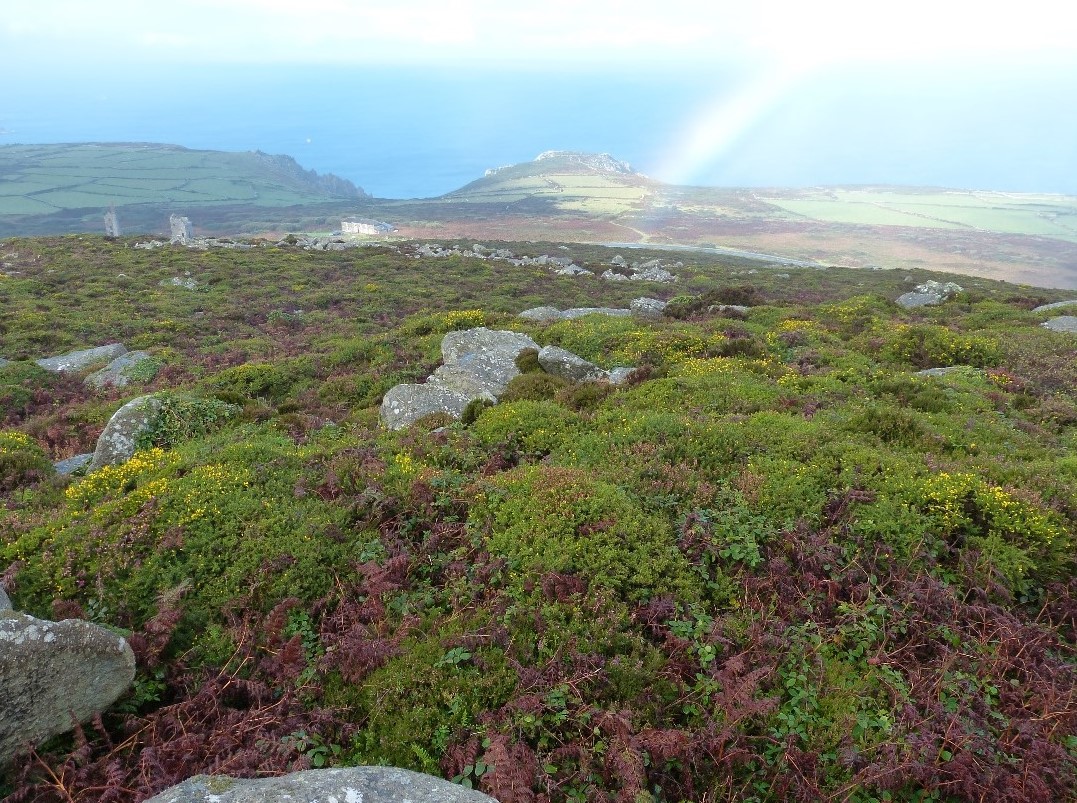 Penwith Moors Site of Special Scientific Interest; Cornwall’s western ...