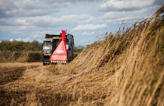 The Paludiculture Exploration Fund invites you to explore the future of ...