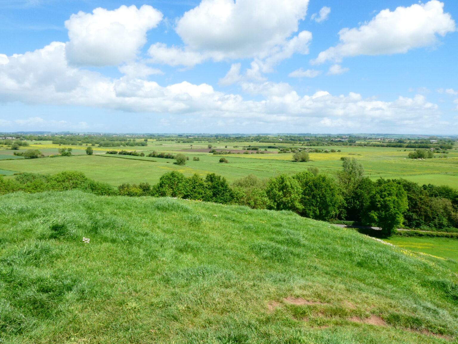 The “battery-powered” partnerships of Nature recovery – Natural England