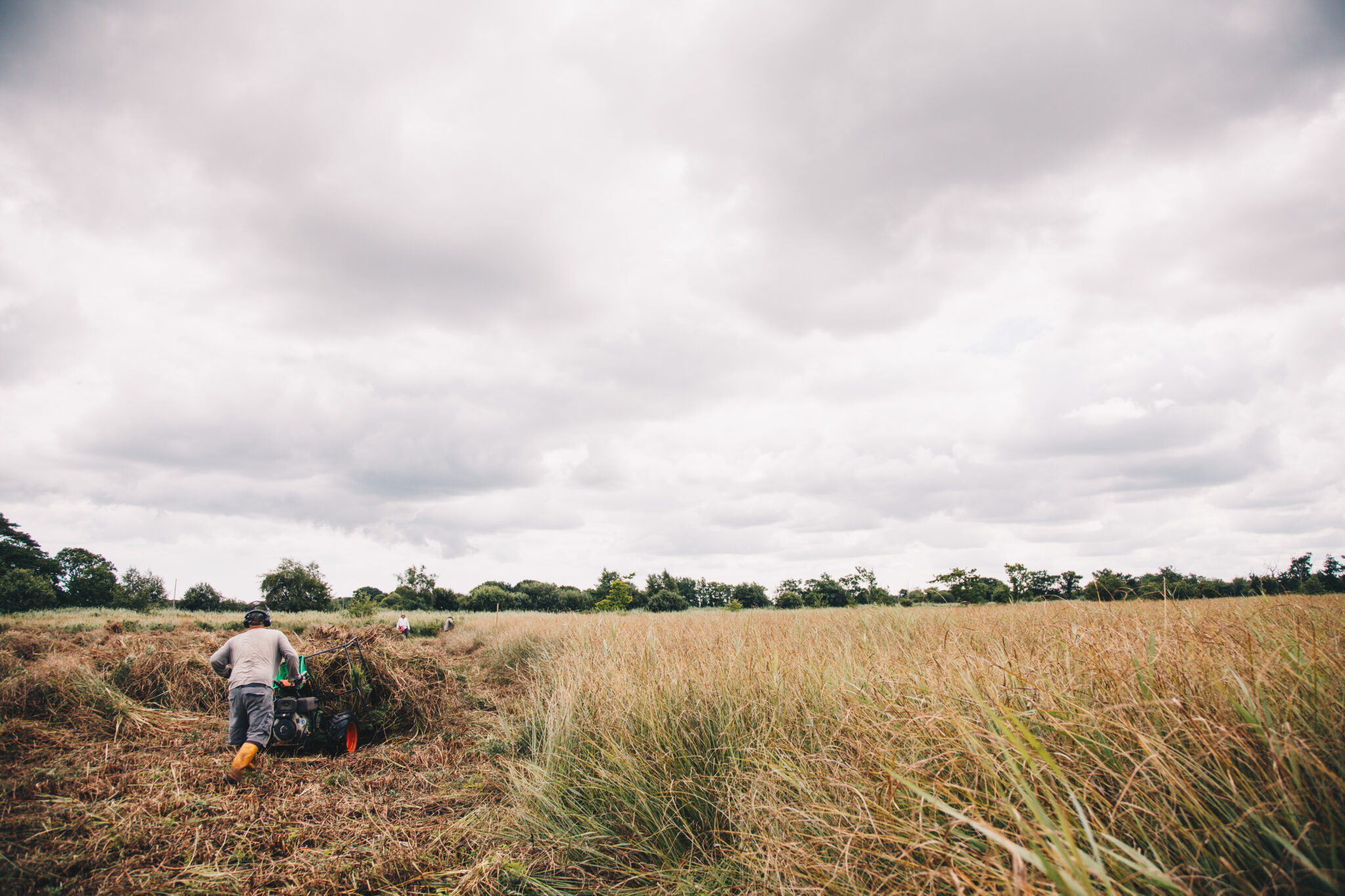 The Paludiculture Exploration Fund invites you to explore the future of ...