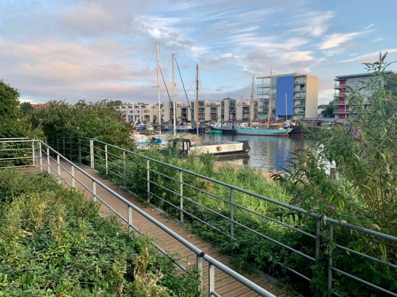 A blueprint for a better future: new Green Infrastructure advice ...