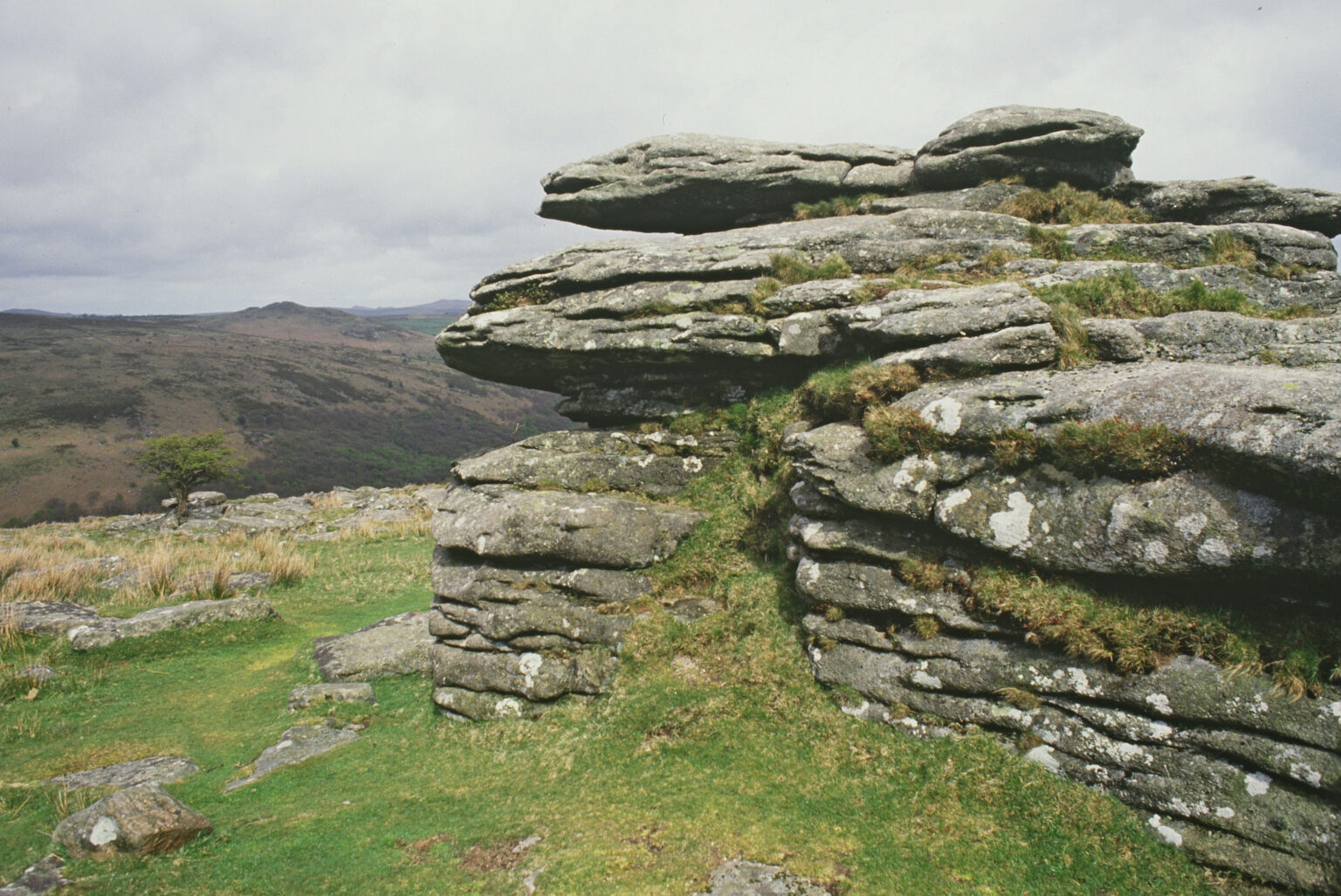 Nature on Dartmoor – Natural England
