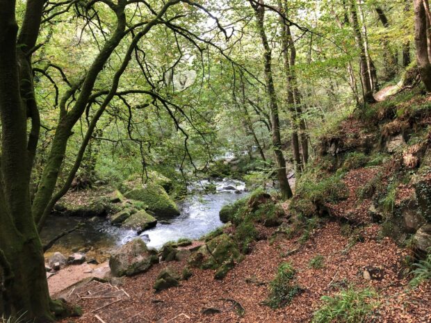 Join us in celebrating England’s most important places for nature ...