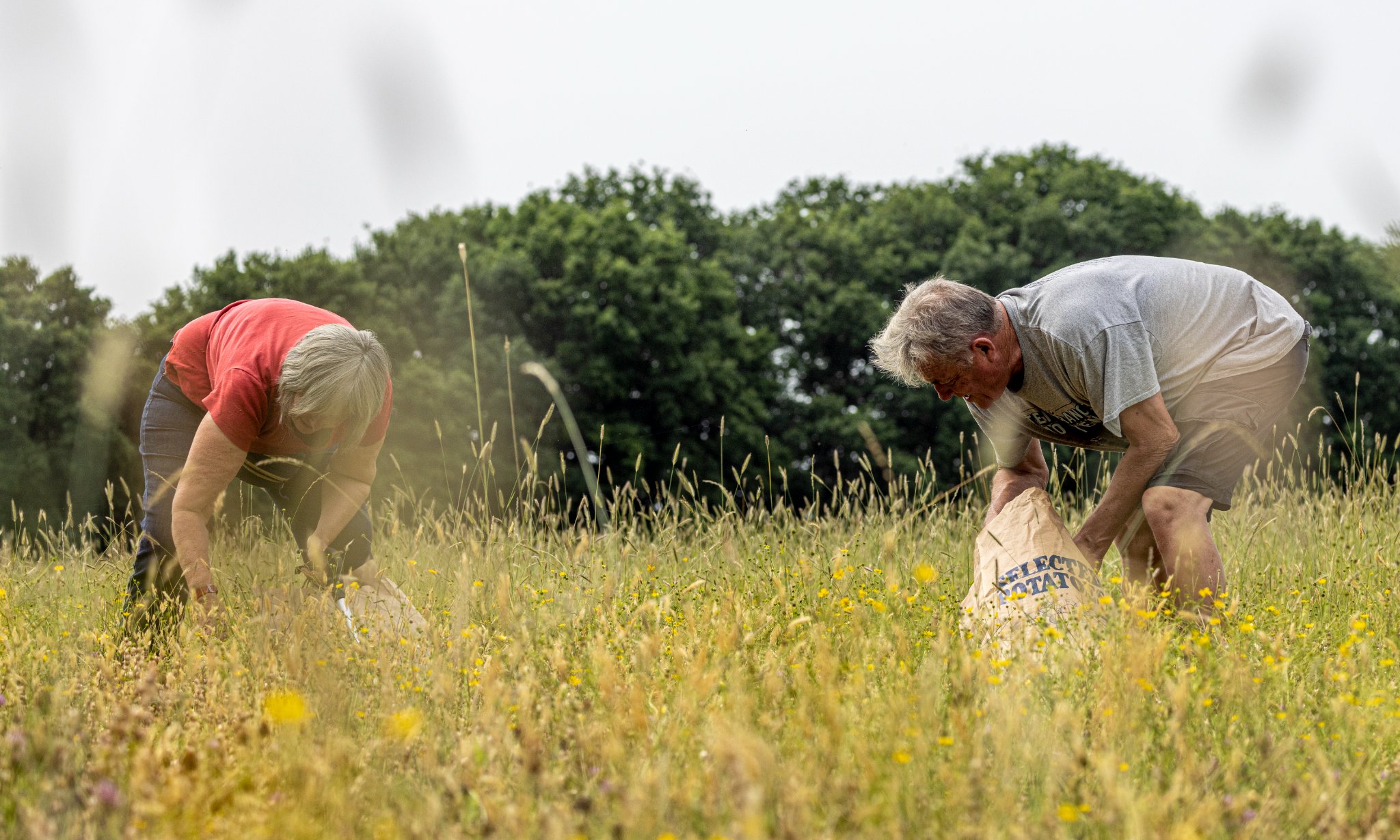 Farming for Nature Recovery – Natural England