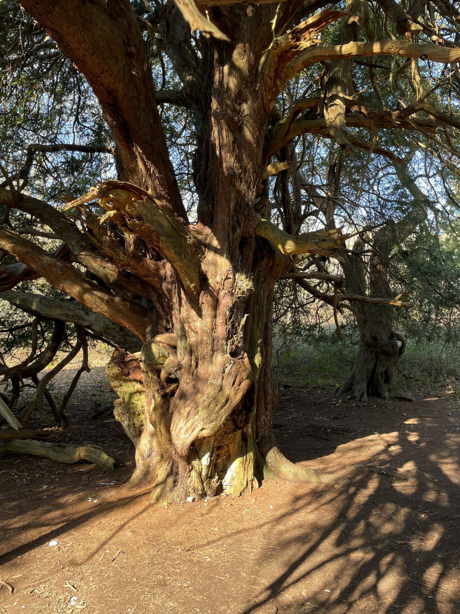 Investing in Sites of Special Scientific Interest (SSSIs) – Natural England