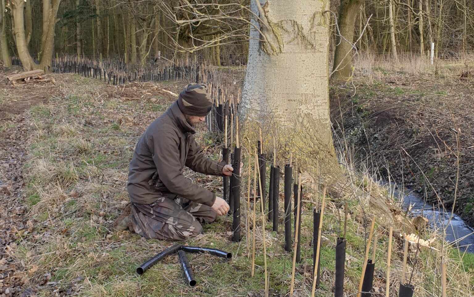 Land managers discuss opportunities created with biodiversity net gain ...