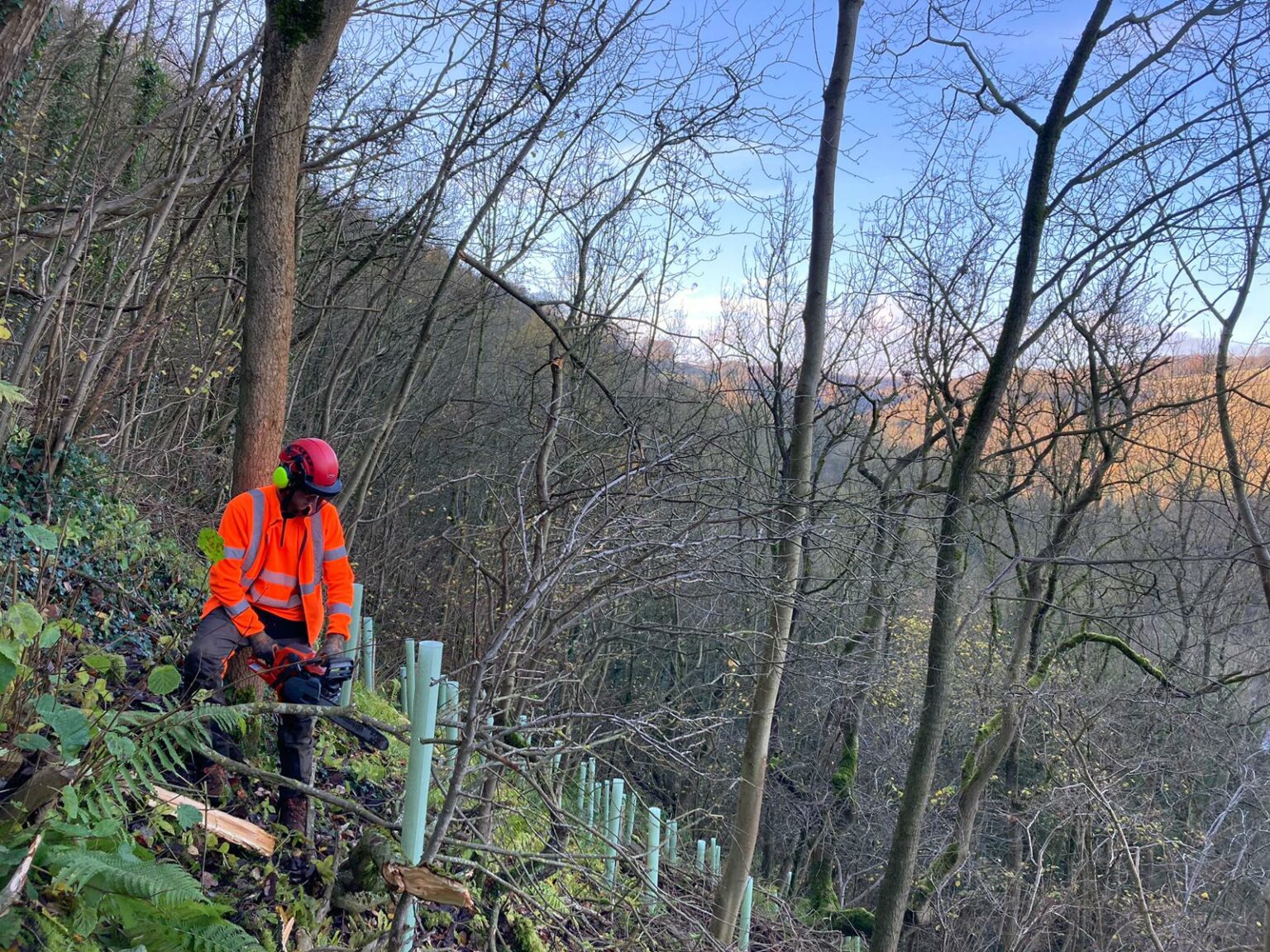 Planting the Seeds of Nature Recovery: Creating over 1,000 hectares of ...