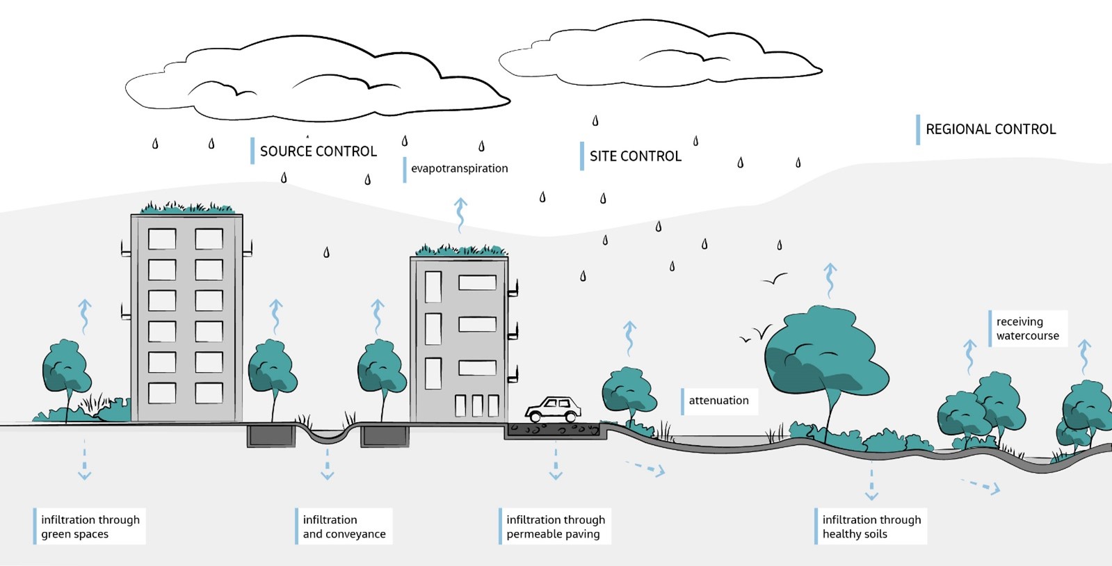 Green Infrastructure: creating habitable towns and cities fit for the ...