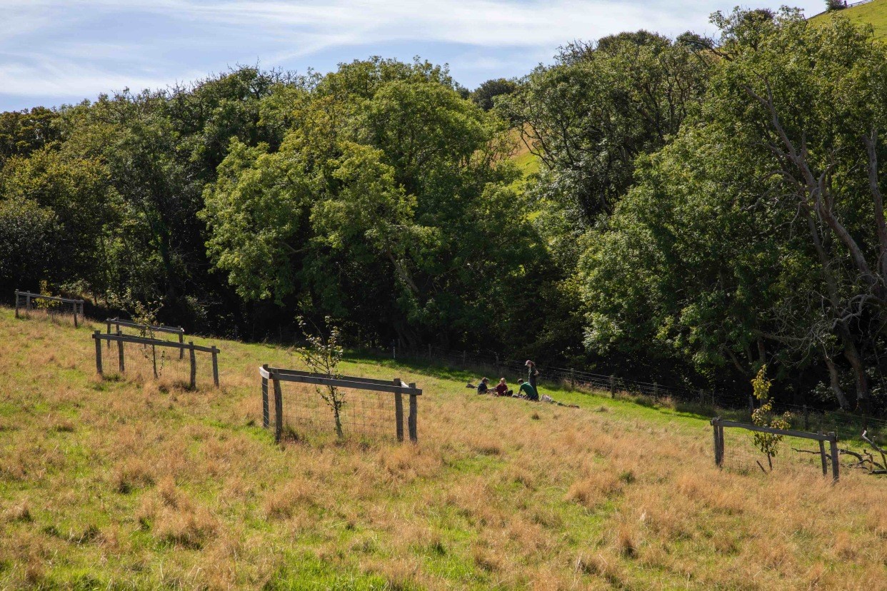 Looking ahead to COP28 – Natural England