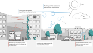 Green Infrastructure: creating habitable towns and cities fit for the ...