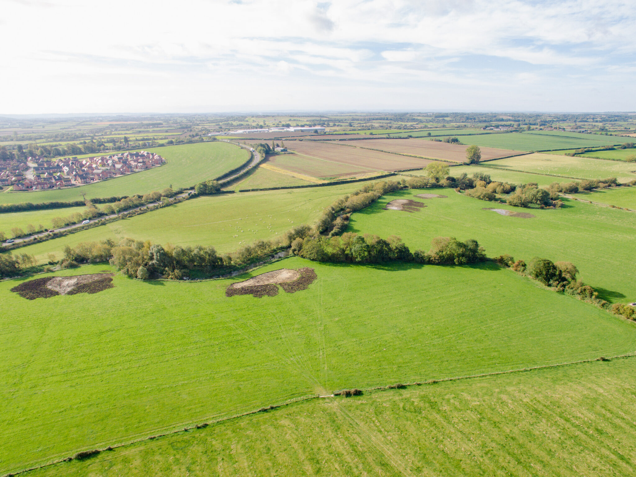 Charting a BNG course: Navigating challenges and embracing ...