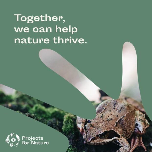 Reflections from COP 28 – Nature recovery for a secure future – Natural ...