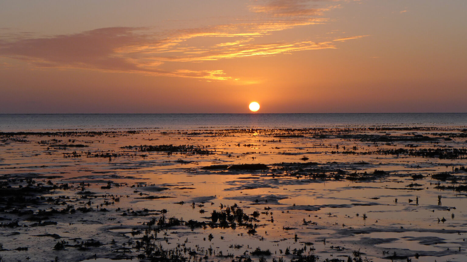 30 by 30: a boost for nature recovery – Natural England