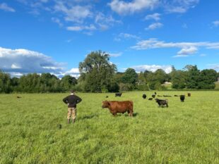 Natural England – News and updates from Natural England