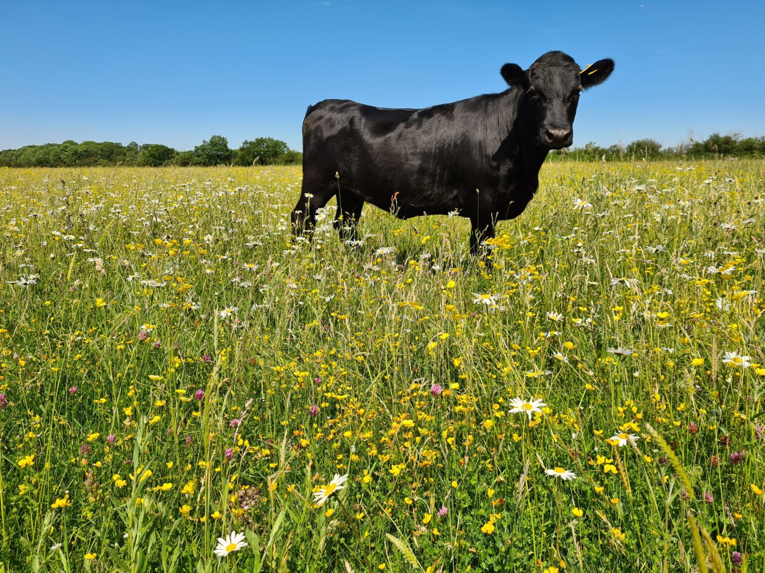 Natural England – News and updates from Natural England