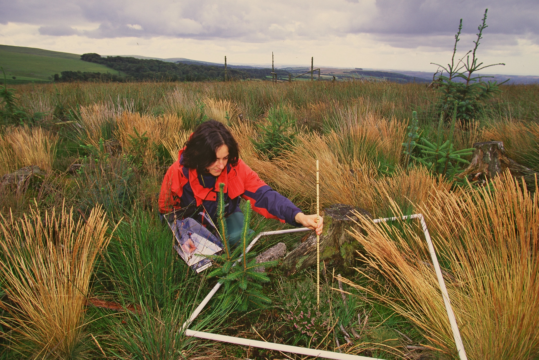 The science of Natural England: now and then – Natural England