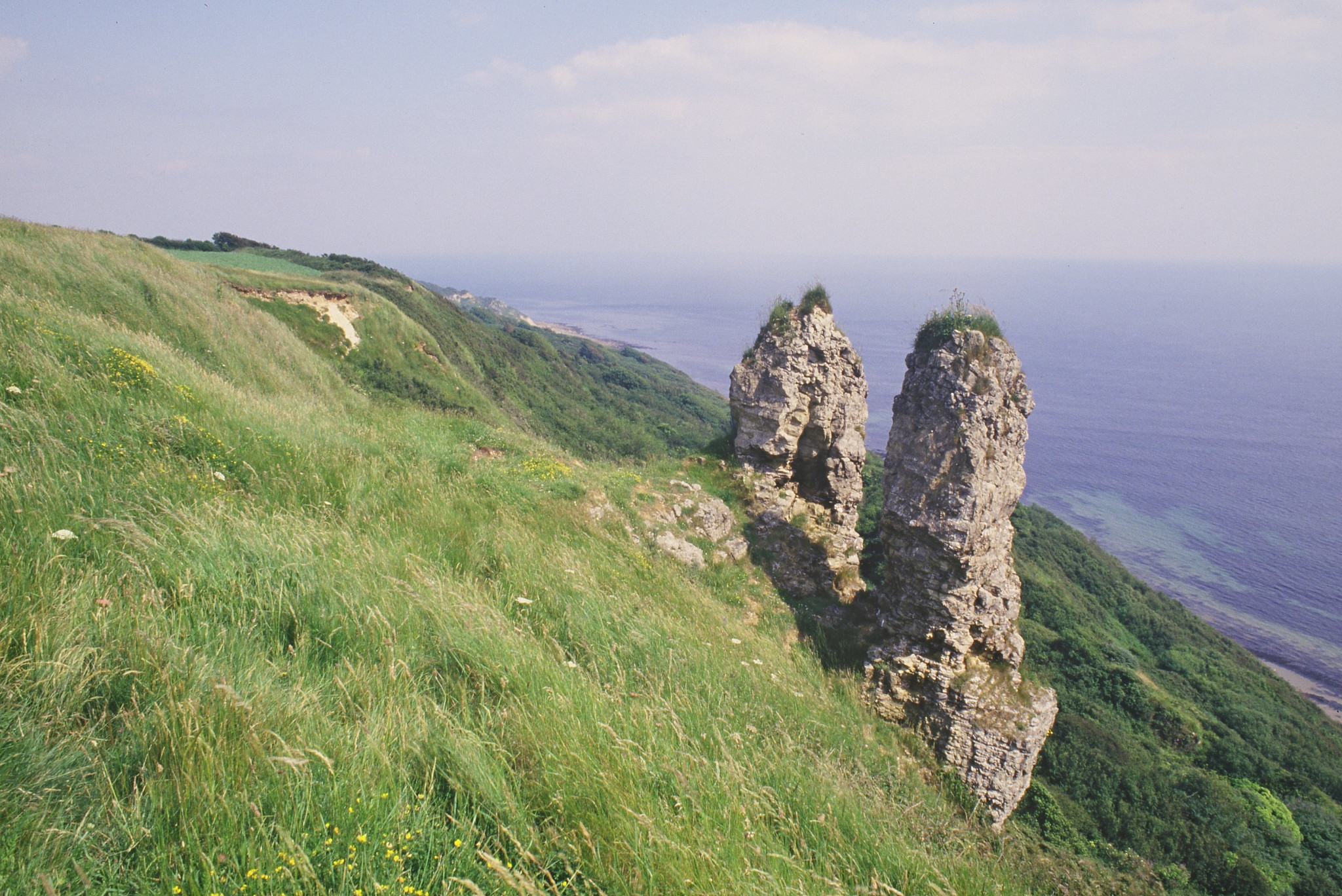 The science of Natural England: now and then – Natural England