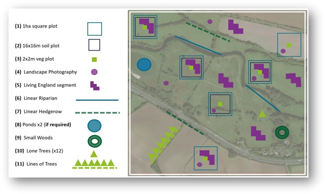 England Ecosystem Survey: introducing England’s largest ever field ...