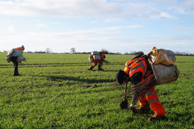 Biodiversity Net Gain: guest insights on planning BNG for small sites ...
