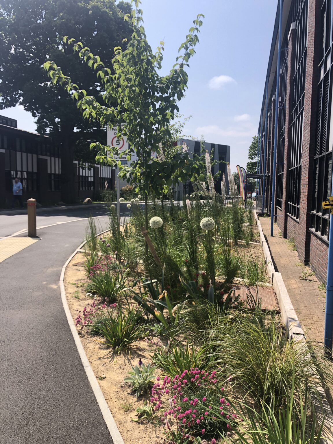 Drainage Swale Design