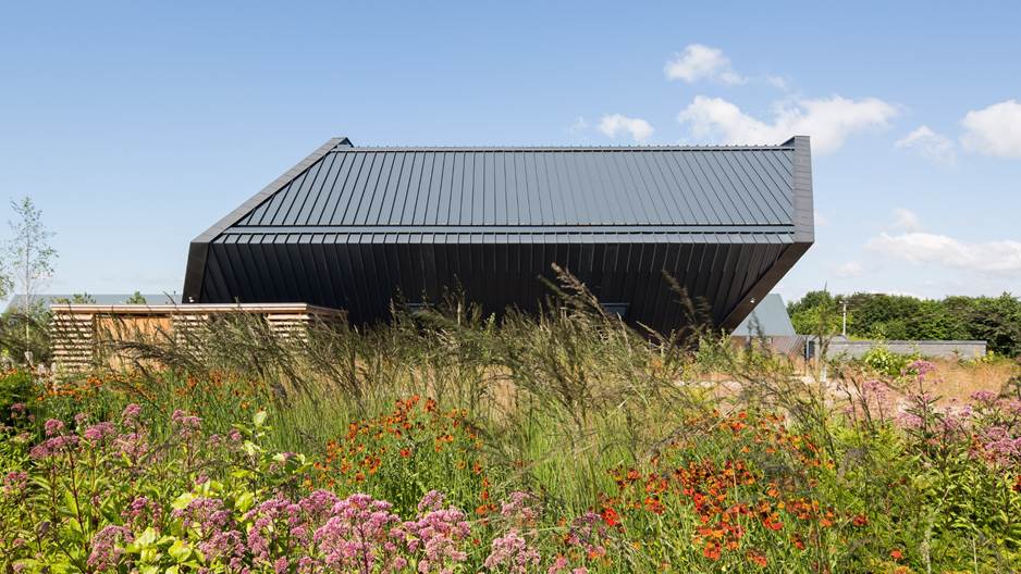 Biodiversity Net Gain: guest insights on planning BNG for small sites ...