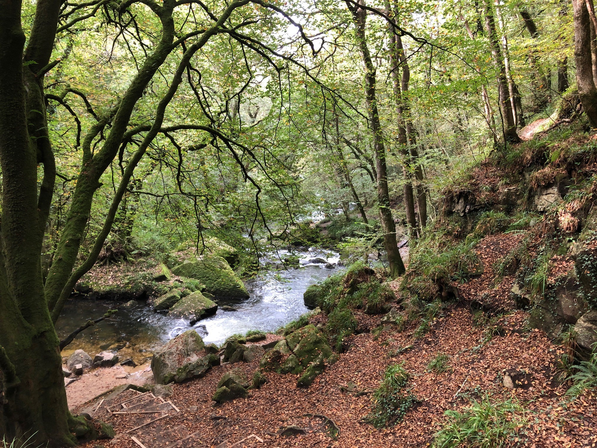 Natural England – News and updates from Natural England