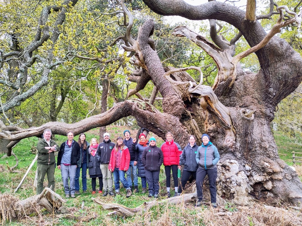 National Nature Reserves – for inspiration and celebration! – Natural ...