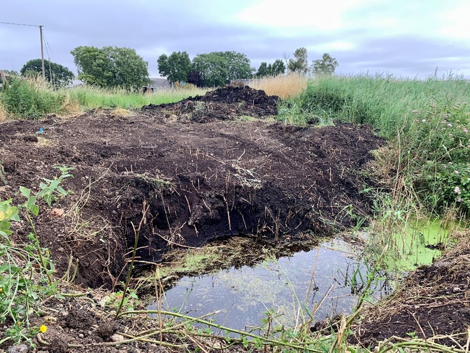 Holme Fen National Nature Reserve peatland restoration project ...