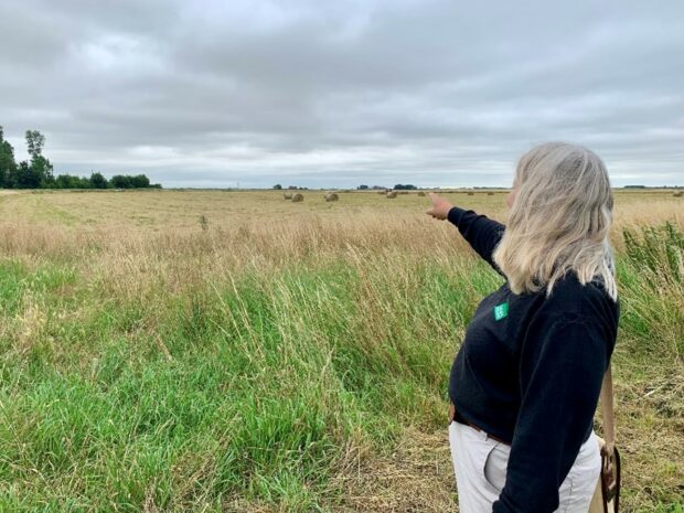 Holme Fen National Nature Reserve peatland restoration project ...