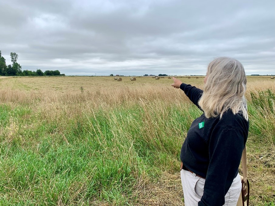 Holme Fen National Nature Reserve peatland restoration project ...